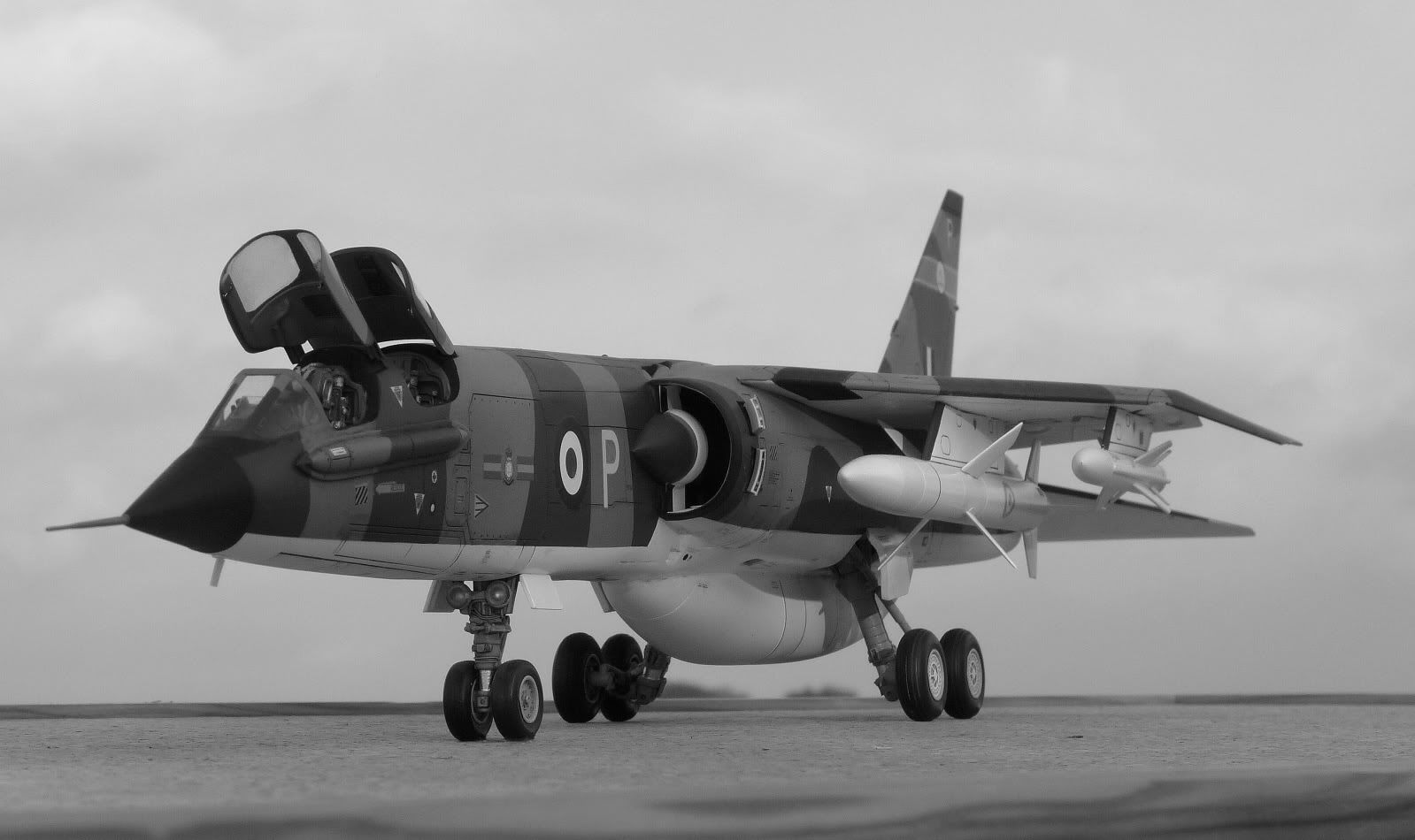 1/48th BAC (TSR 2) Eagle GR1 , 3 squadron, RAF 1970 - Ready for ...